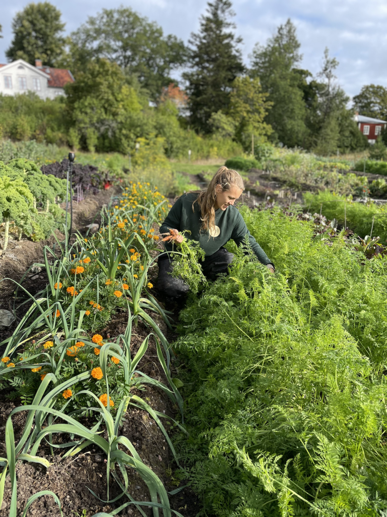 Lokal mat – odling, beredskap & företagande - Coompanion